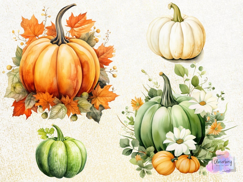 Fall Pumpkin Harvest Clipart Bundle: Autumn Gourds With Floral Accents ...