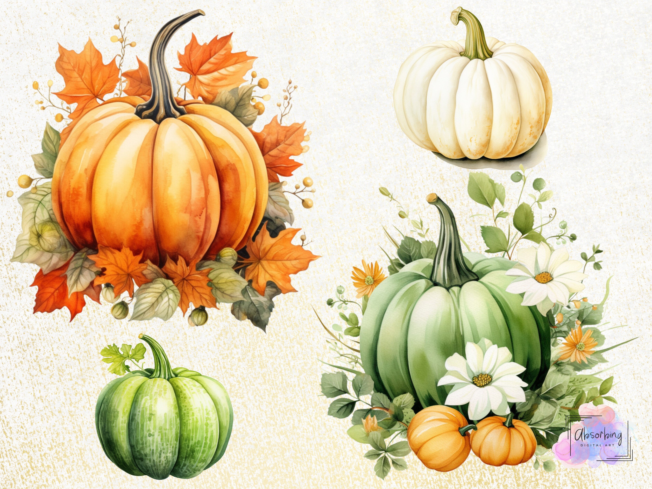 Fall Pumpkin Harvest Clipart Bundle: Autumn Gourds With Floral Accents ...