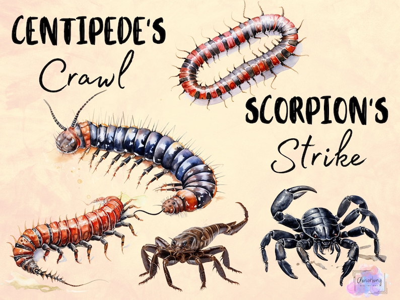 Watercolor Creepy Crawlers Collection: Spiders, Scorpions, and More ...