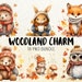 Woodland Charm: Fall Animals Clipart Bundle Watercolor Fall Clipart ...