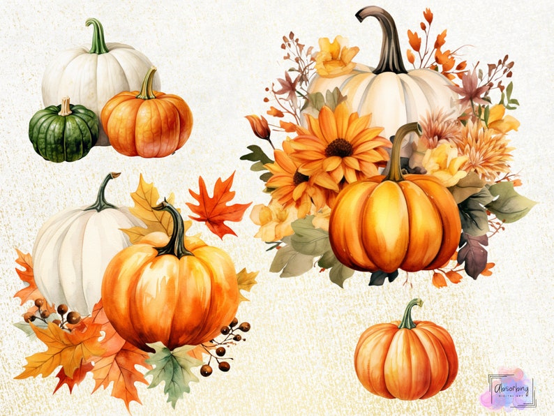 Fall Pumpkin Harvest Clipart Bundle: Autumn Gourds With Floral Accents ...