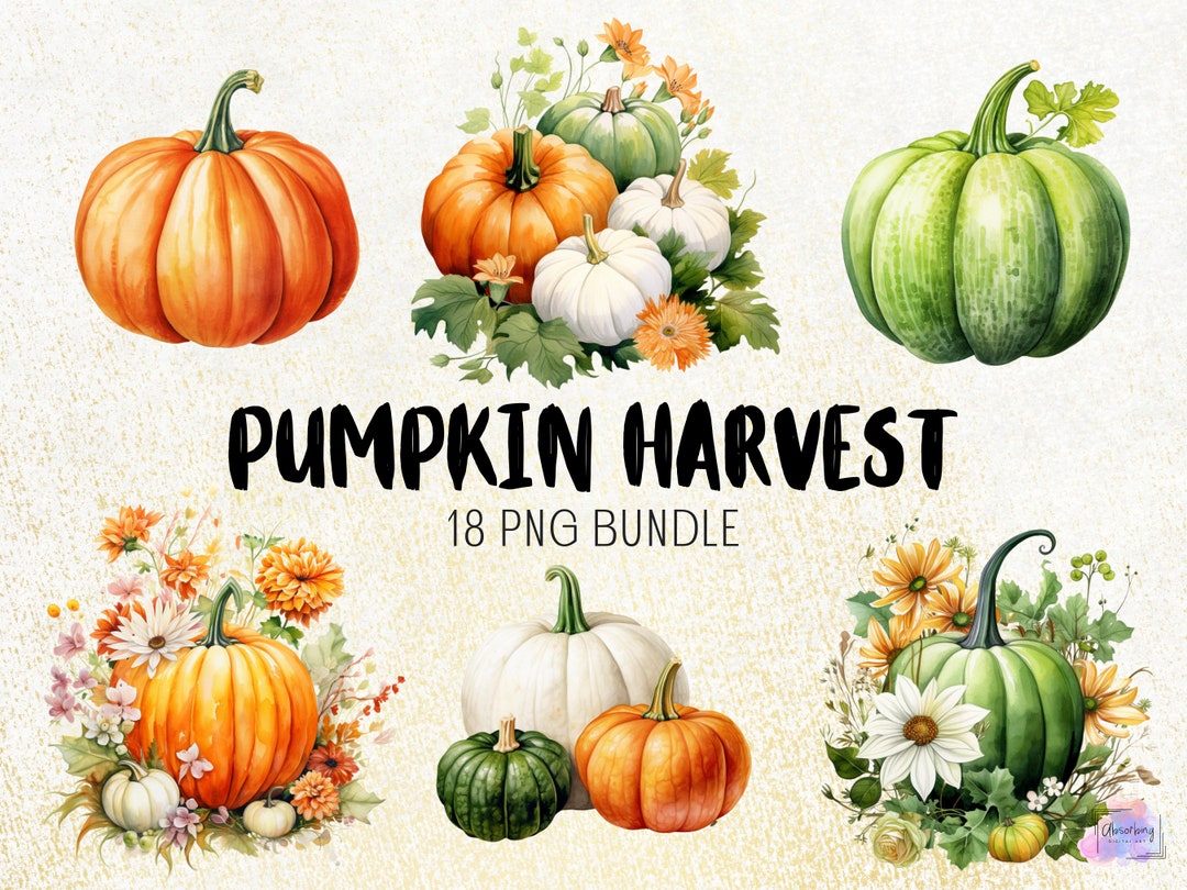 Fall Pumpkin Harvest Clipart Bundle: Autumn Gourds With Floral Accents ...