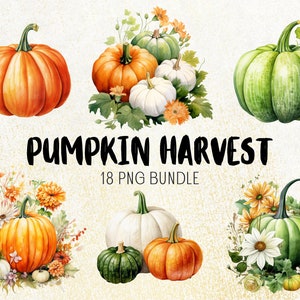 Fall Pumpkin Harvest Clipart Bundle: Autumn Gourds With Floral Accents ...