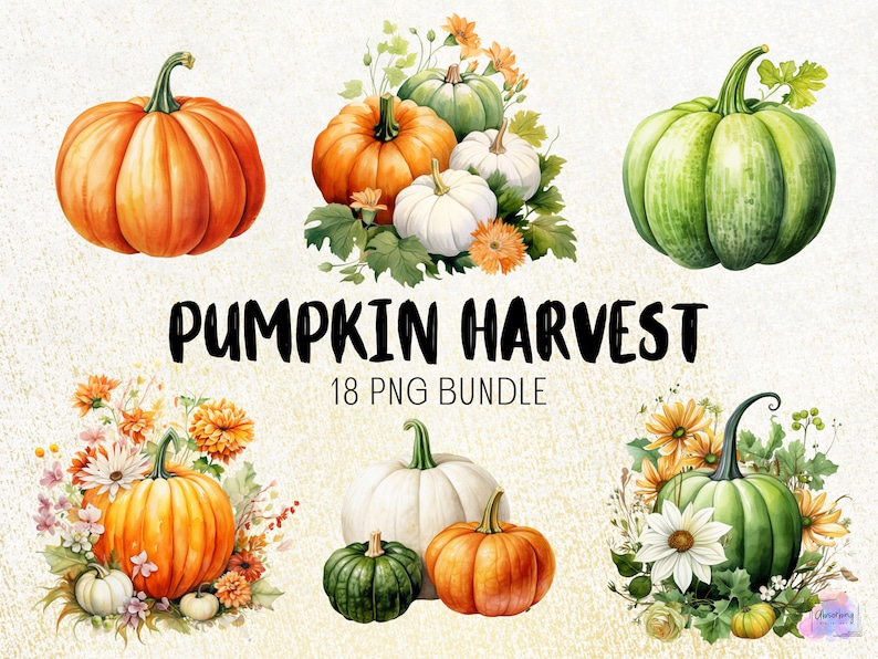 Fall Pumpkin Harvest Clipart Bundle: Autumn Gourds With Floral Accents ...