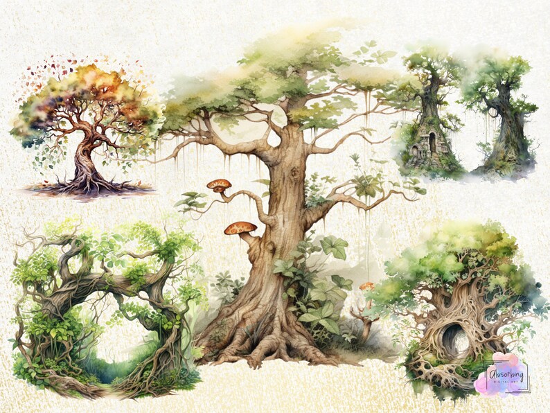 Watercolor Fairy Clipart Bundle: Elderwood Forest Fairies (PNG) - Etsy