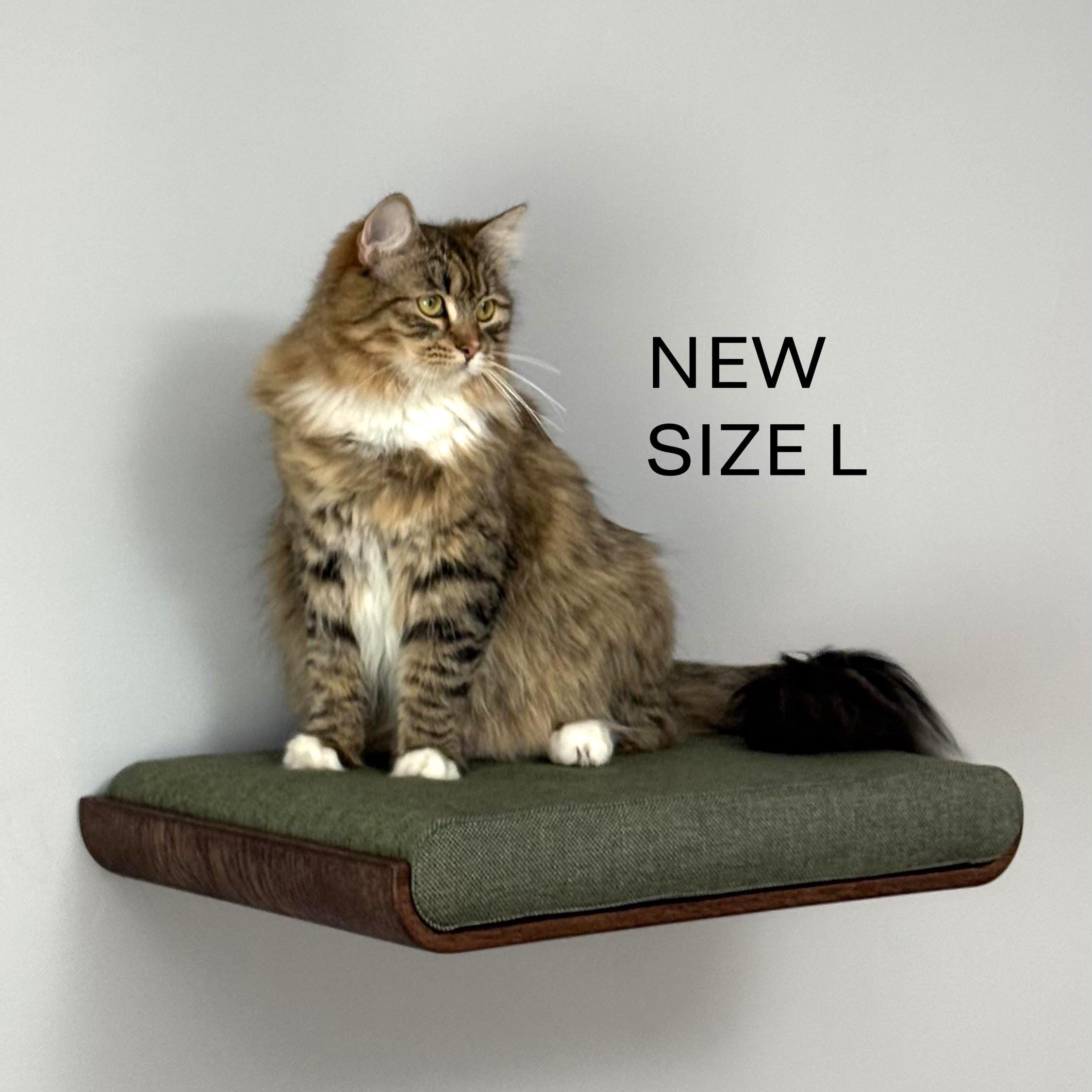 Shelf With Pillow Cat , Cat Furniture, Wall Mounted Cat Bed, Cat Shelf ...
