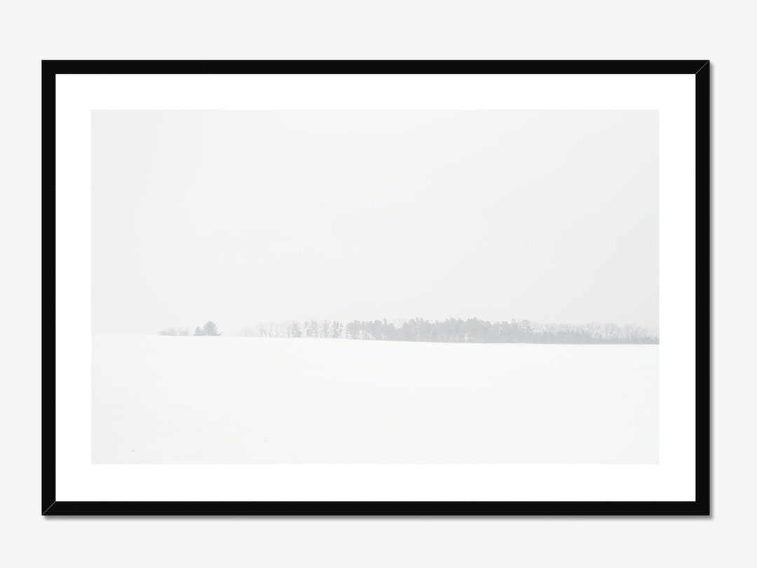 Fine Art Photography Print - Treeline in Snow Storm Black and White ...
