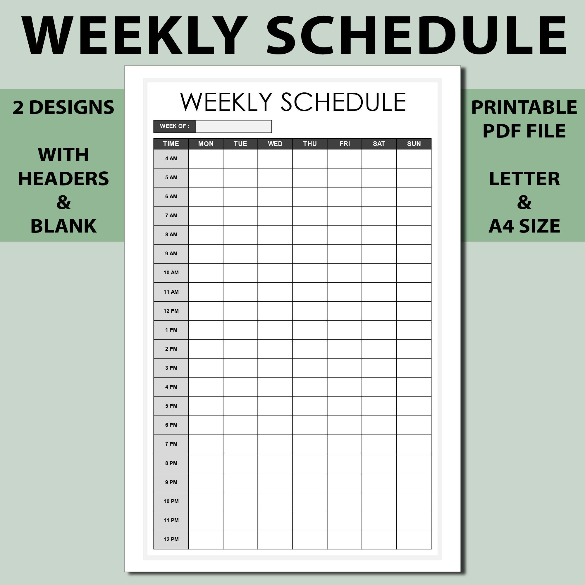 Hourly Day Planner Printable, Hourly Day Log, Hourly Day Track, Hourly ...