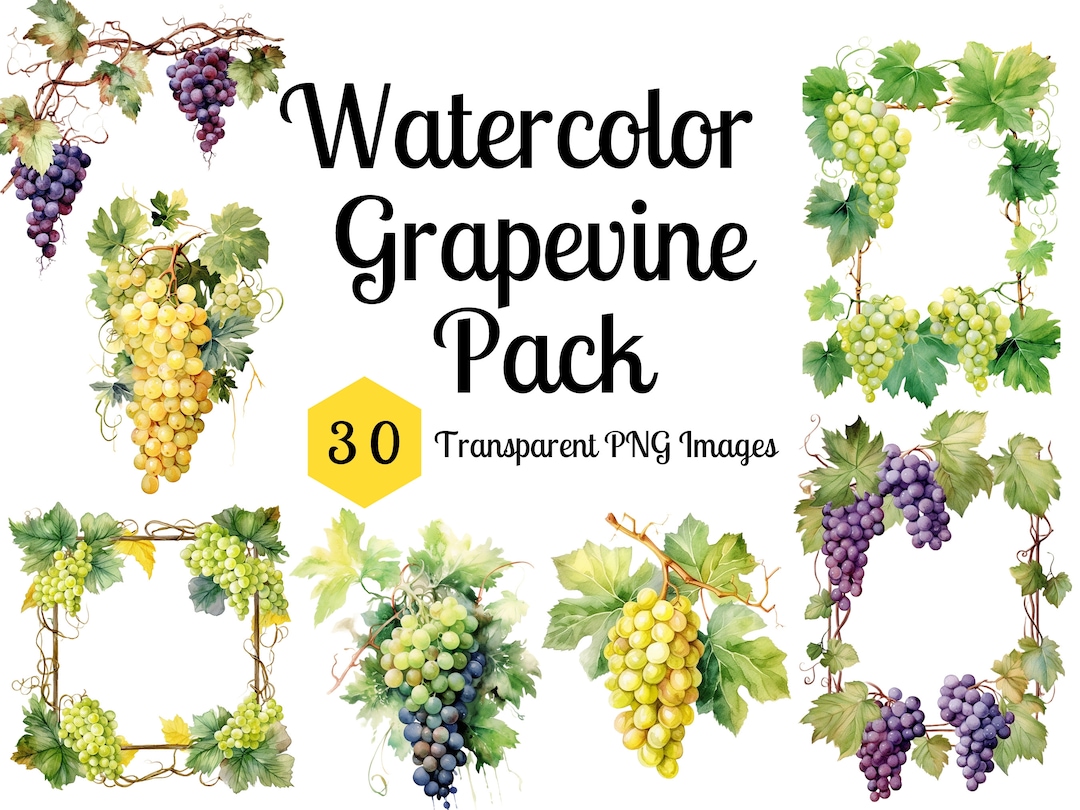 Watercolor Grapevine Clipart Pack - Purple and Green Bouquets, Frames ...