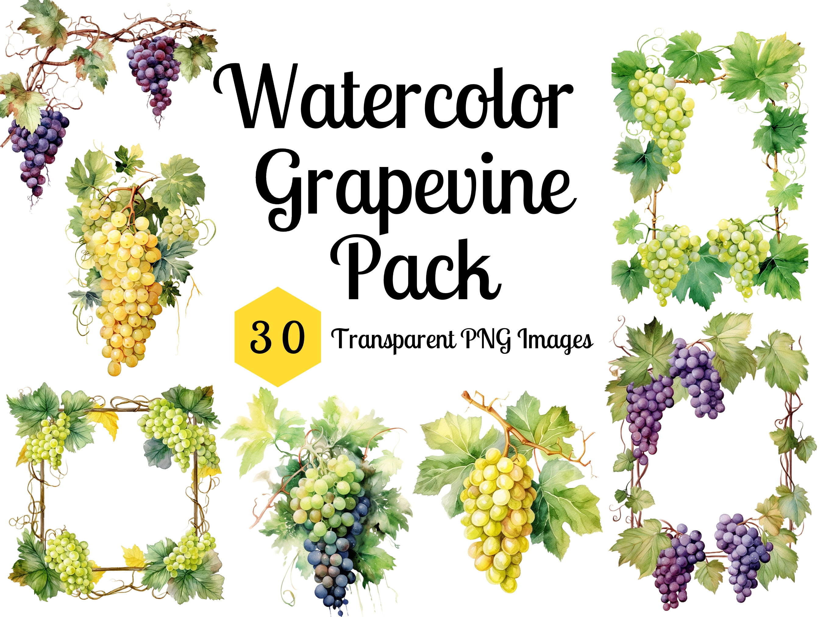 Watercolor Grapevine Clipart Pack - Purple and Green Bouquets, Frames ...