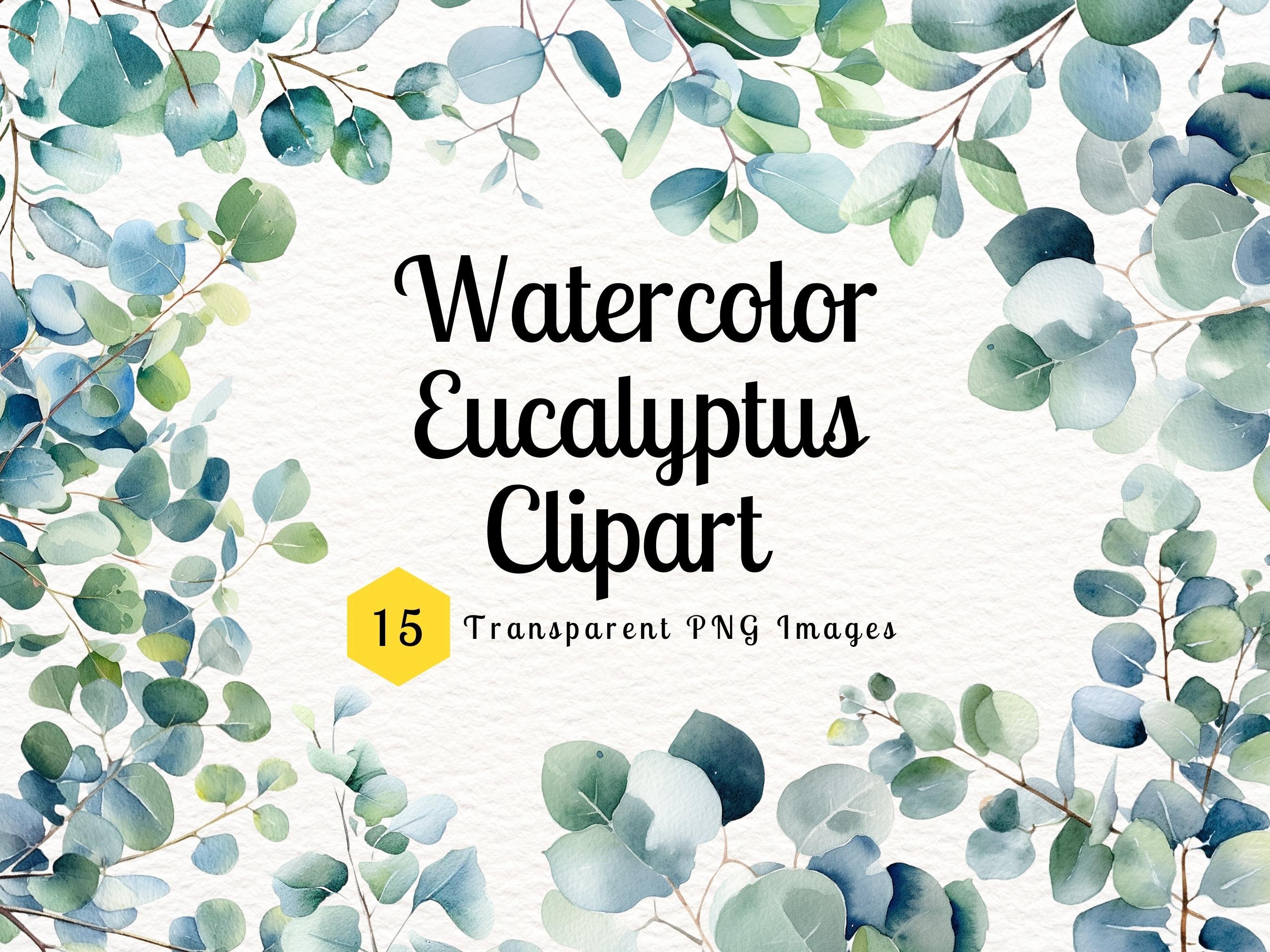Watercolor Eucalyptus Branches Clipart Green and Blue Eucalyptus Leaves ...