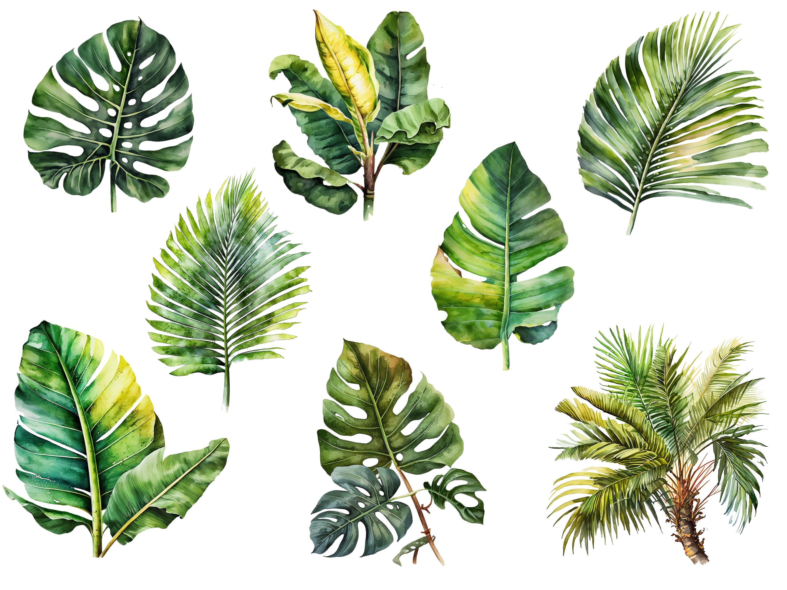 Watercolor Tropical Flowers and Greenery Clipart Orchid Transparent ...