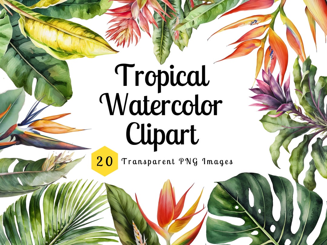 Watercolor Tropical Flowers and Greenery Clipart Orchid Transparent ...
