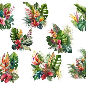 Tropical Watercolor Clipart Pack, 45 Paradise Frames Flower Bouquets ...