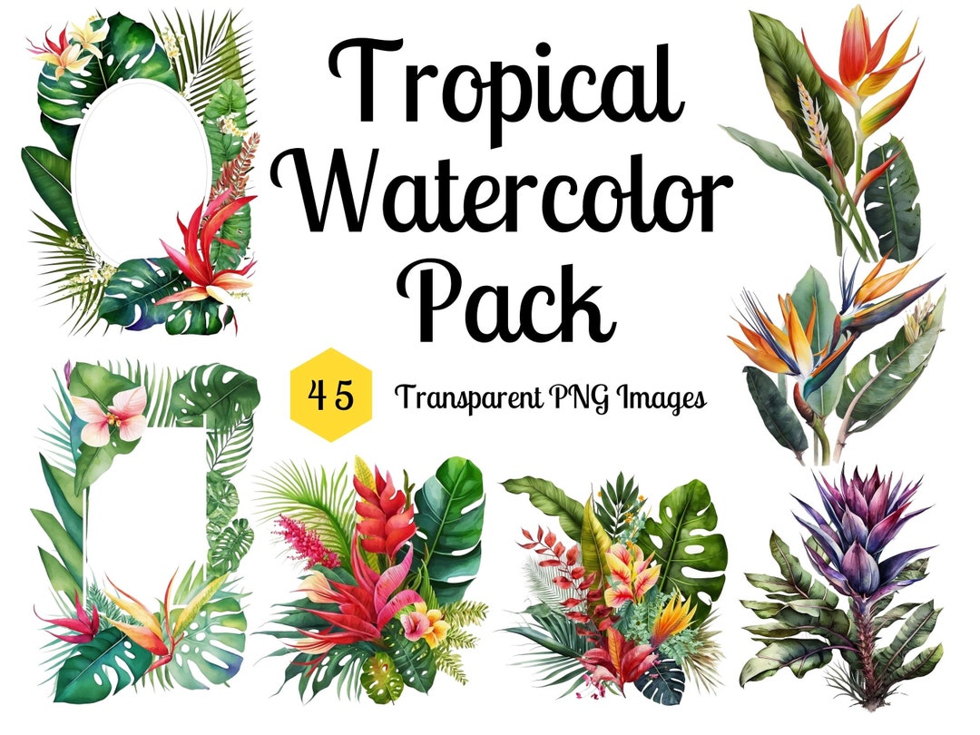 Tropical Watercolor Clipart Pack, 45 Paradise Frames Flower Bouquets ...