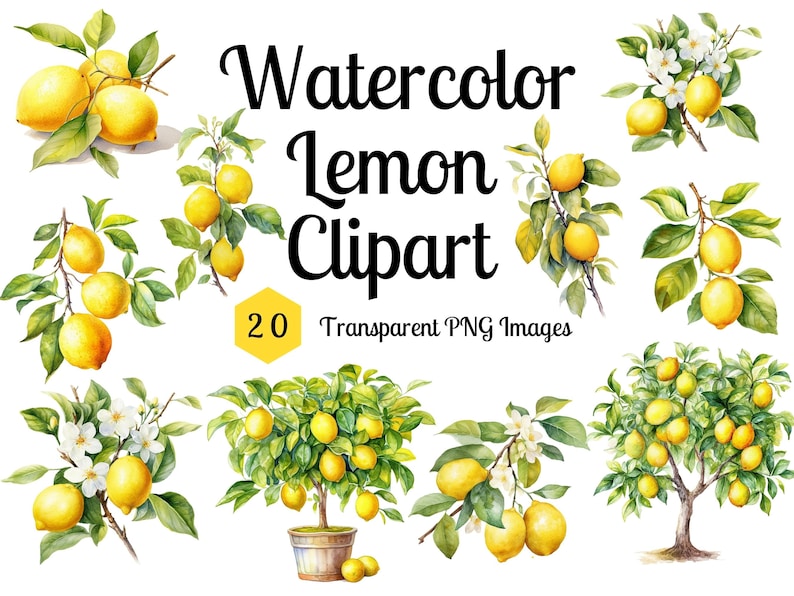 Watercolor Lemon Clipart Mega Pack Lemon Branches and Lemonade Art ...