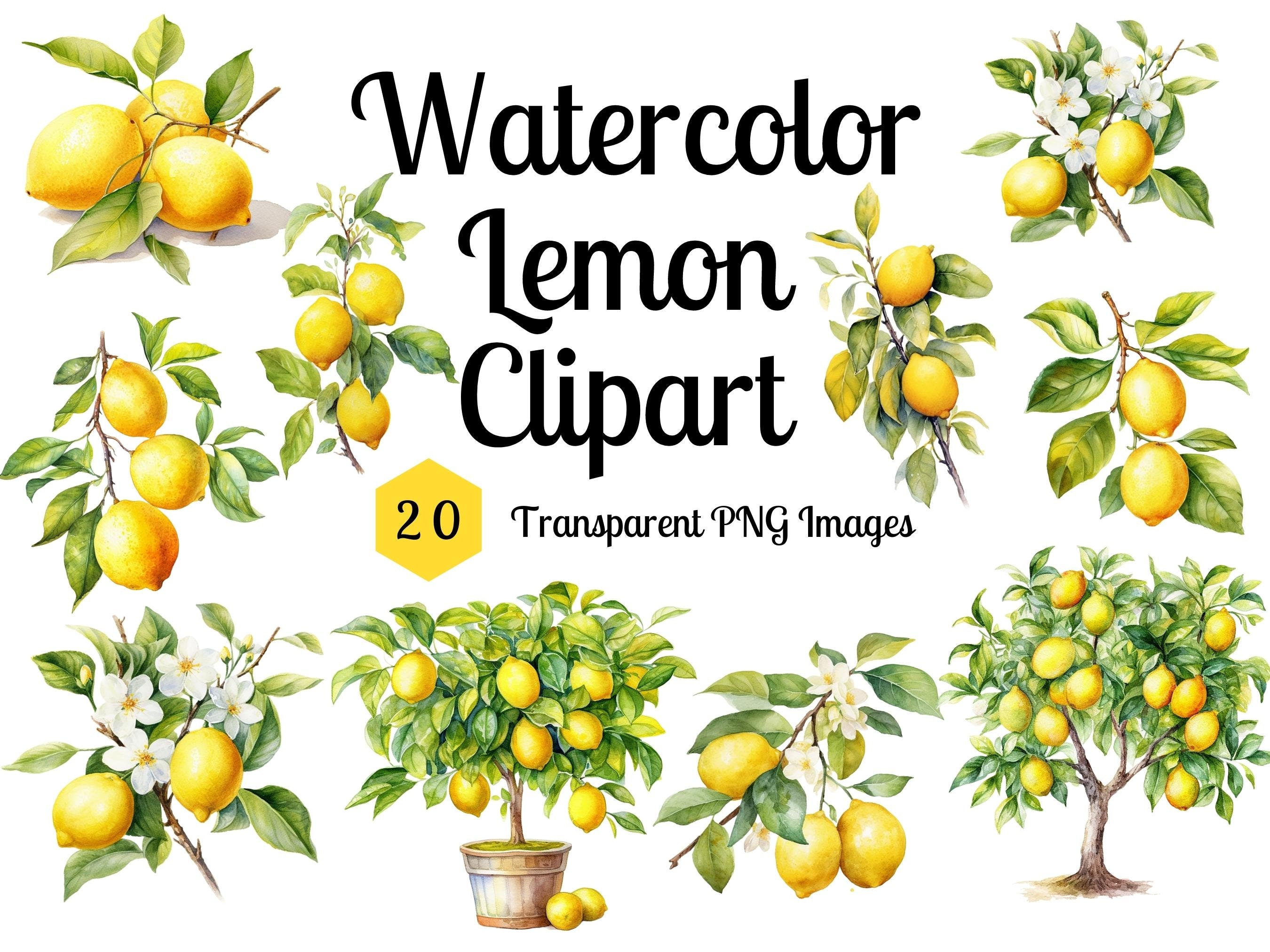 Watercolor Lemon Clipart Pack Lemon Trees Branches and Arrangements ...