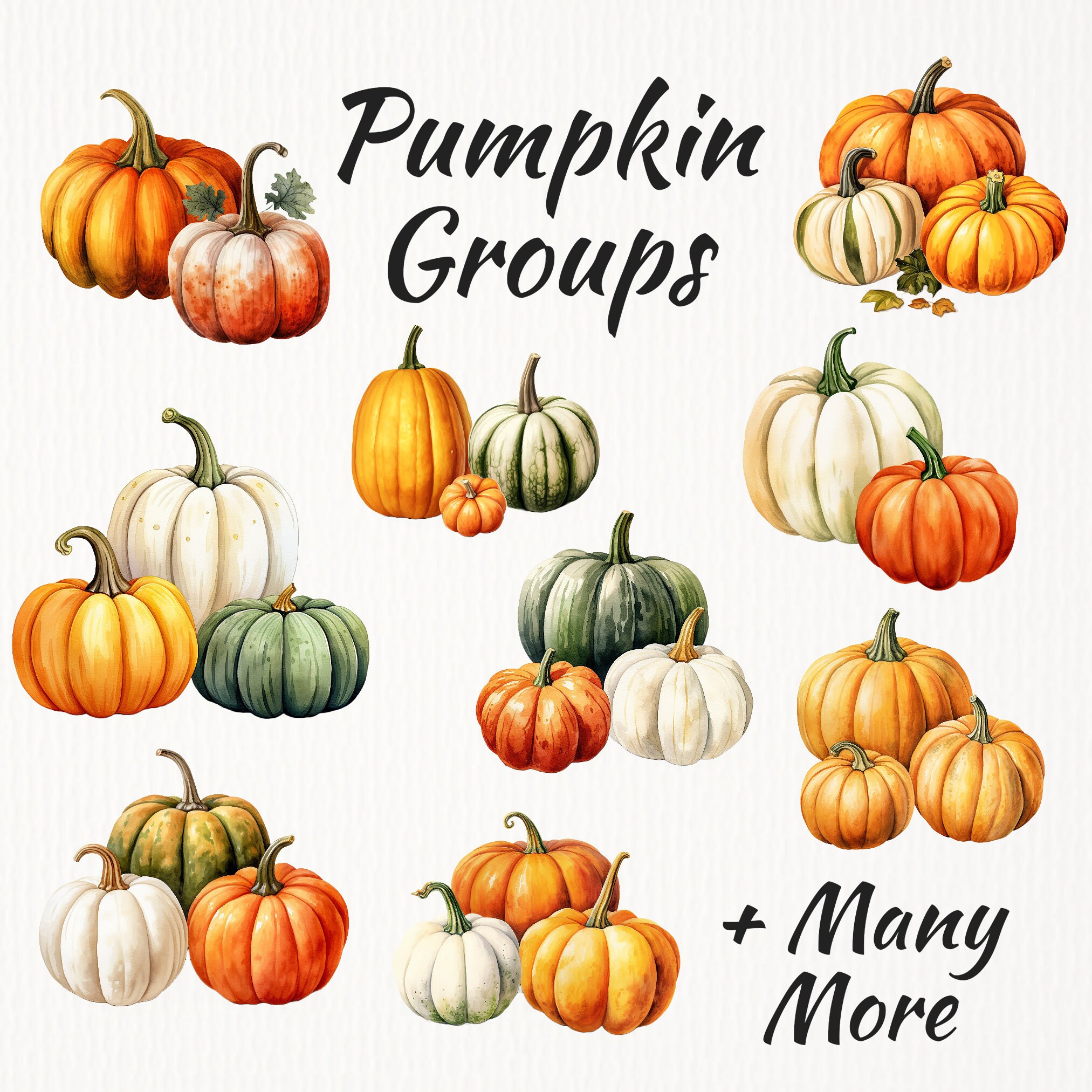 Watercolor Fall Pumpkins Clipart, Squash Gourd Harvest Art, Transparent ...