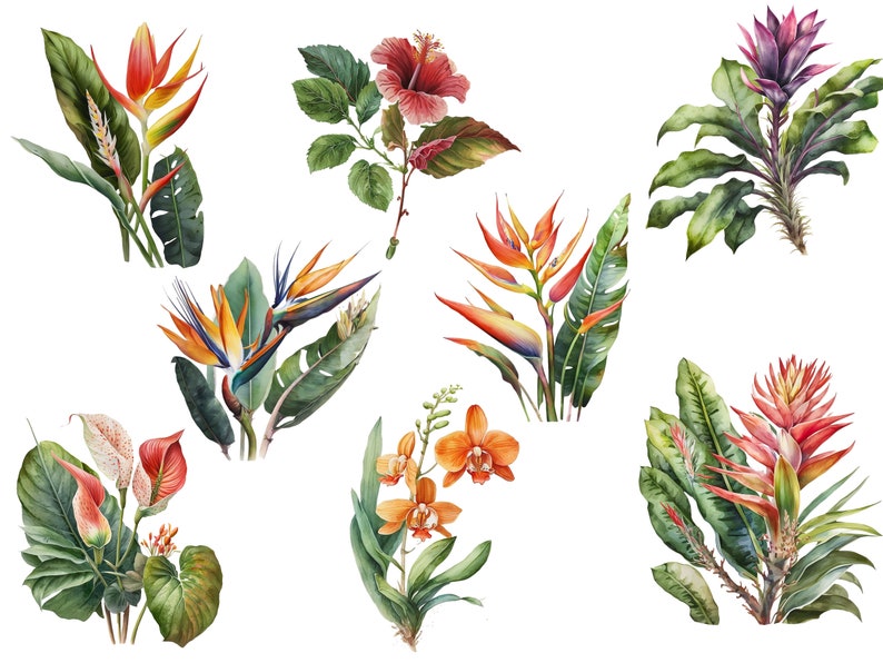 Watercolor Tropical Flowers and Greenery Clipart Orchid Transparent ...