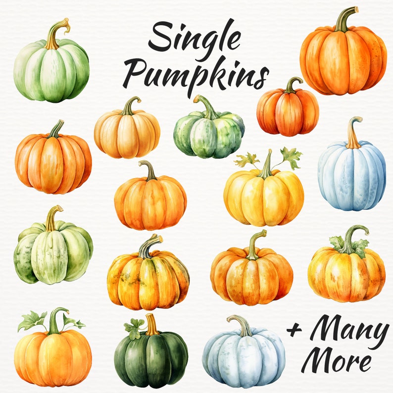 Watercolor Fall Pumpkins Clipart, Squash Gourd Harvest Art, Transparent ...