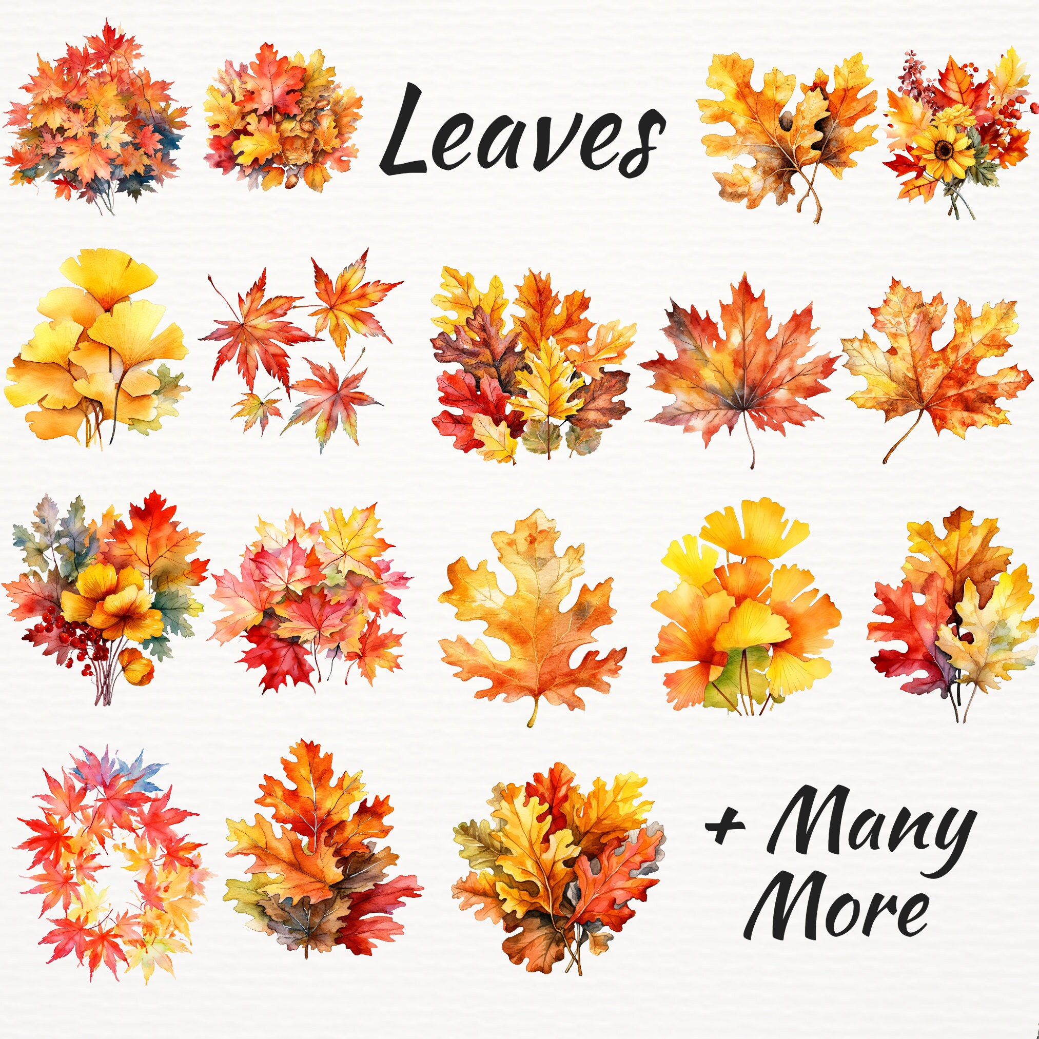 Watercolor Fall GIANT Clipart Pack Autumn Leaves Branches Frames and ...