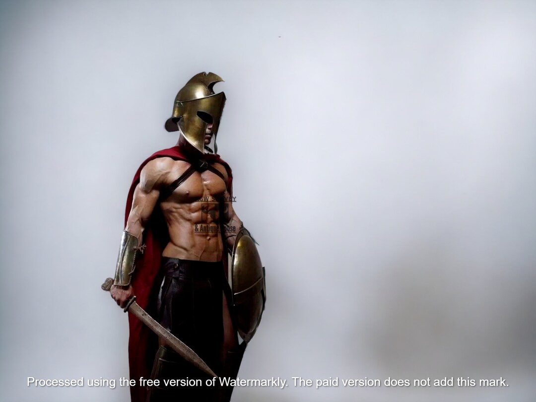 Spartan 300 Soldier Costume Suit Armor Suit Medieval Pre-historic Suit ...