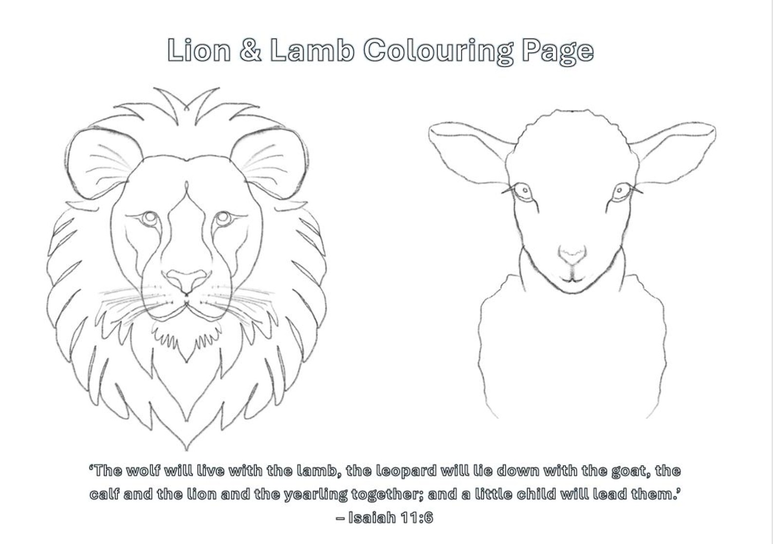 Lion and Lamb Isaiah Bible Verse Colouring Page | Sunday School ...