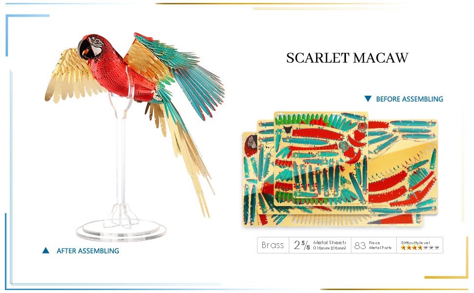 Vibrant 3D Metal Scarlet Macaw Parrot Puzzle, 3D Puzzle, Puzzle Box ...