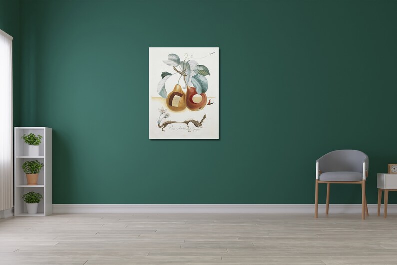 Set of 3, Salvador Dali, Botanical Fruit, Dali Art, Museum Exhibition ...