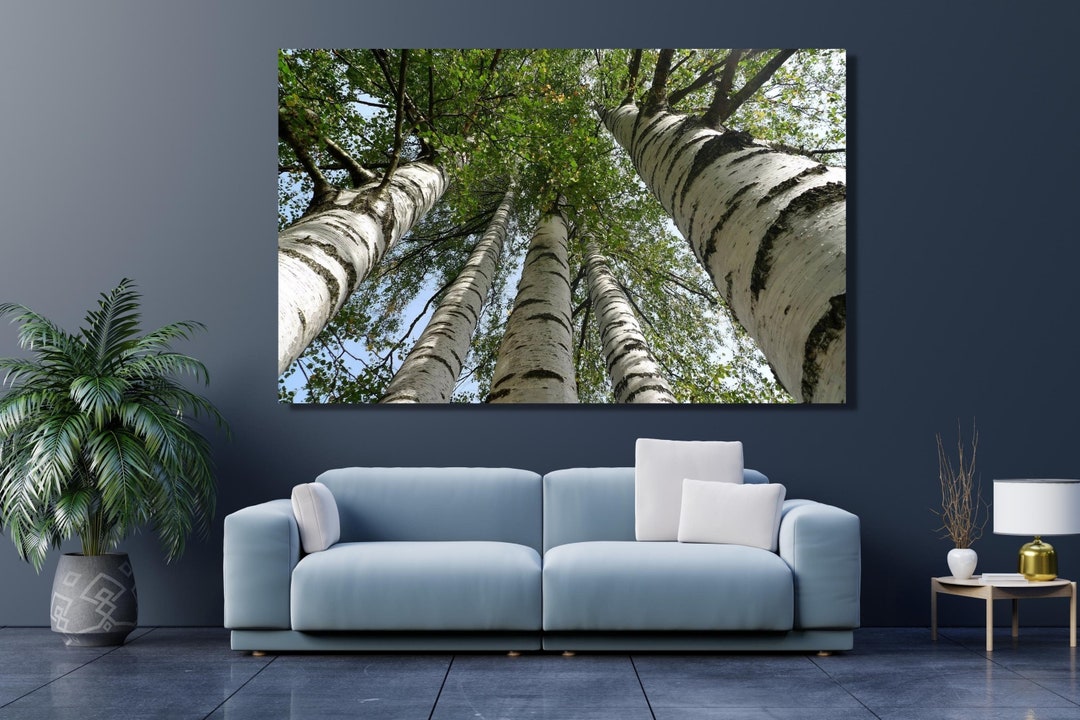 Tall Birch Trees, Trees Poster, Birch Trees Decor, Modern Canvas,trees ...