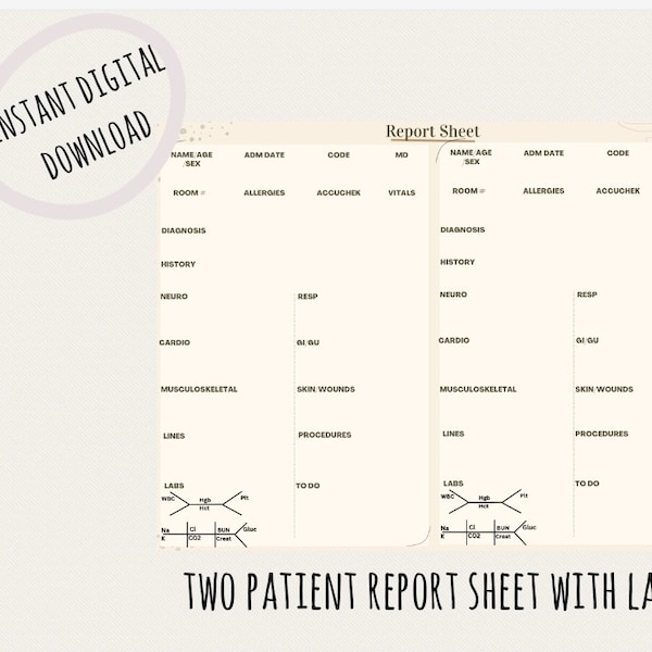 Nurse Report Sheet 2 Patient With Labs - Etsy