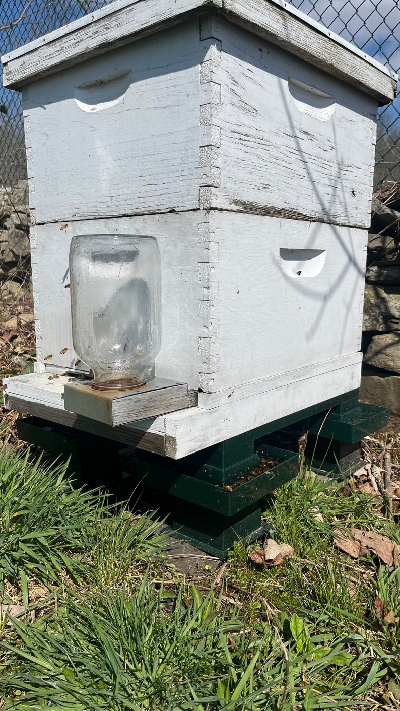 Bee Stand Elevated Bottom System - Etsy