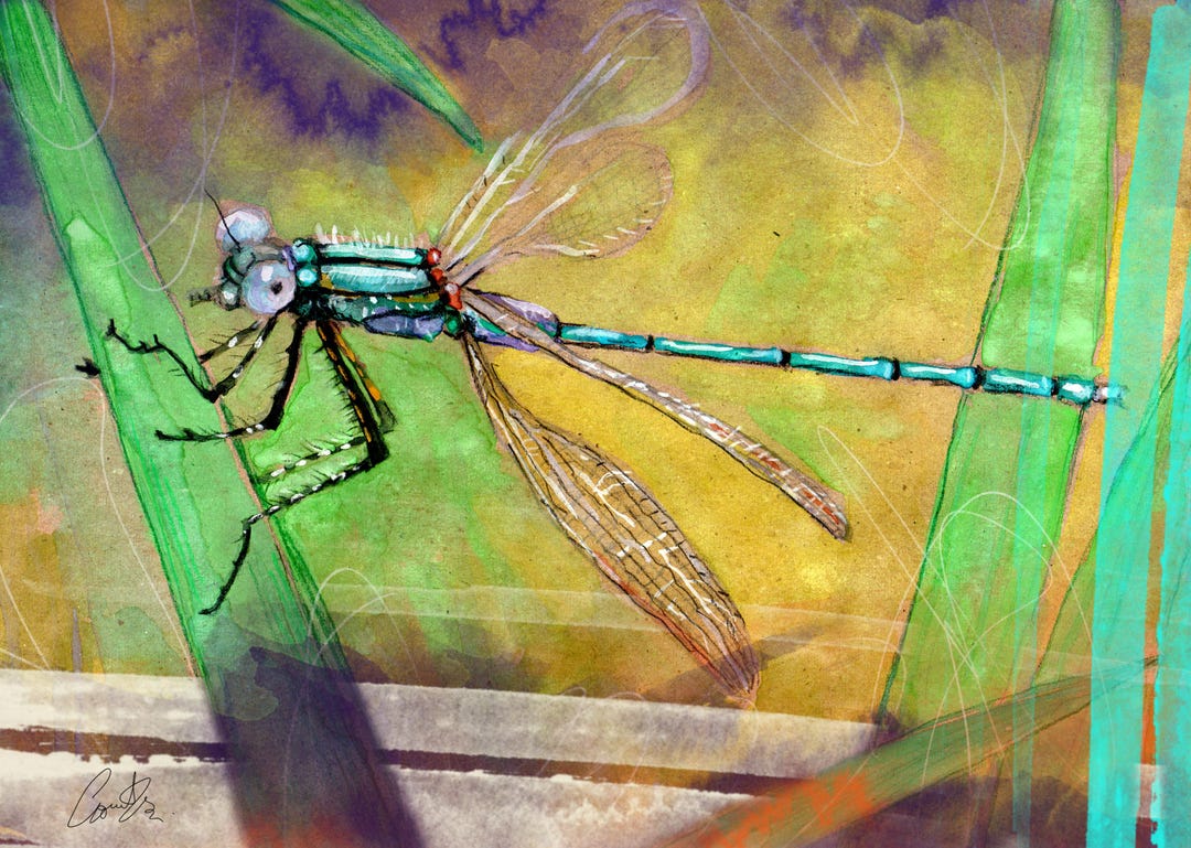 Dragonfly Wall Art Print – Watercolor and Crayon Mixed Media Insect ...