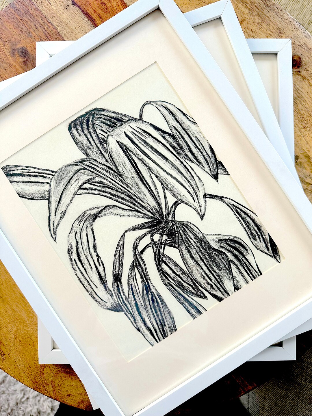 Corn Plant Hand Drawn Charcoal Print Digital Download Decor - Etsy