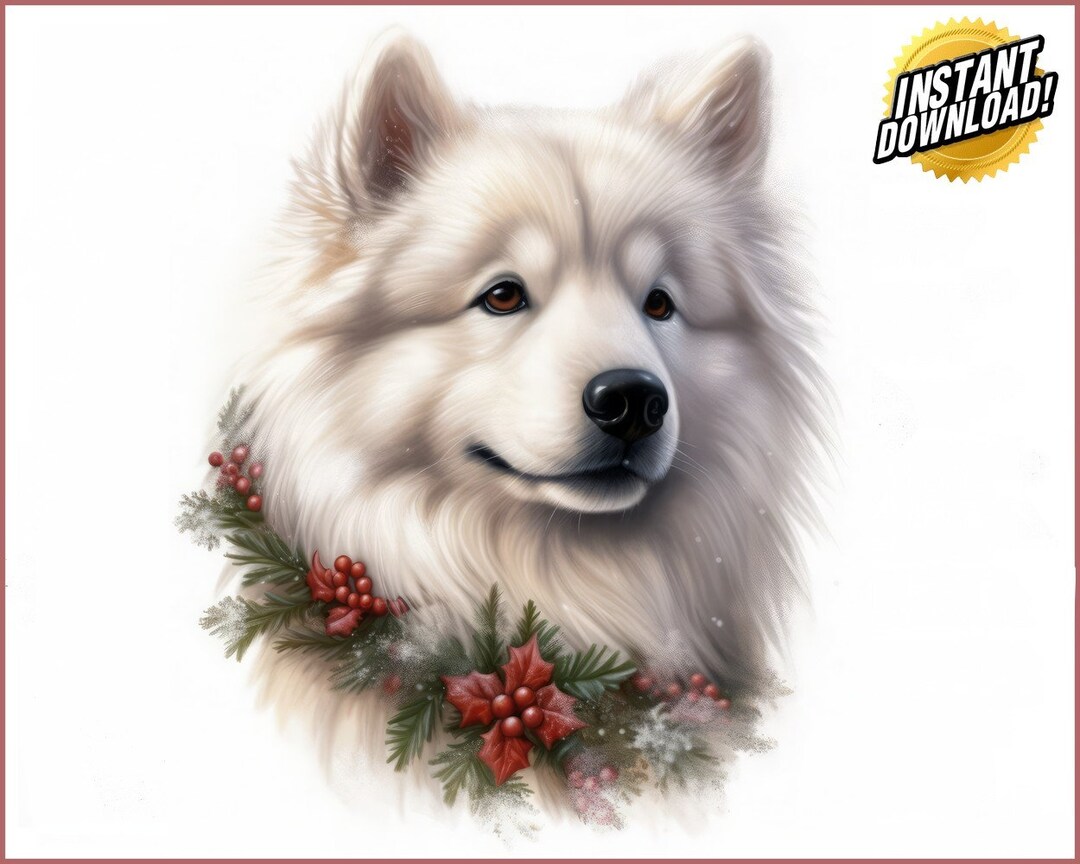 Samoyed Christmas Dogs PNG Bundle. | Instant Digital Download | HD Clip ...