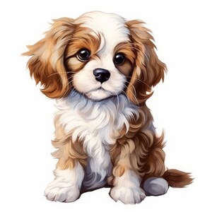 100 Beautiful Cavachon Dog Clip Art Designs in HD PNG Image Bundle ...