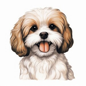 100 Beautiful Cavachon Dog Clip Art Designs in HD PNG Image Bundle ...