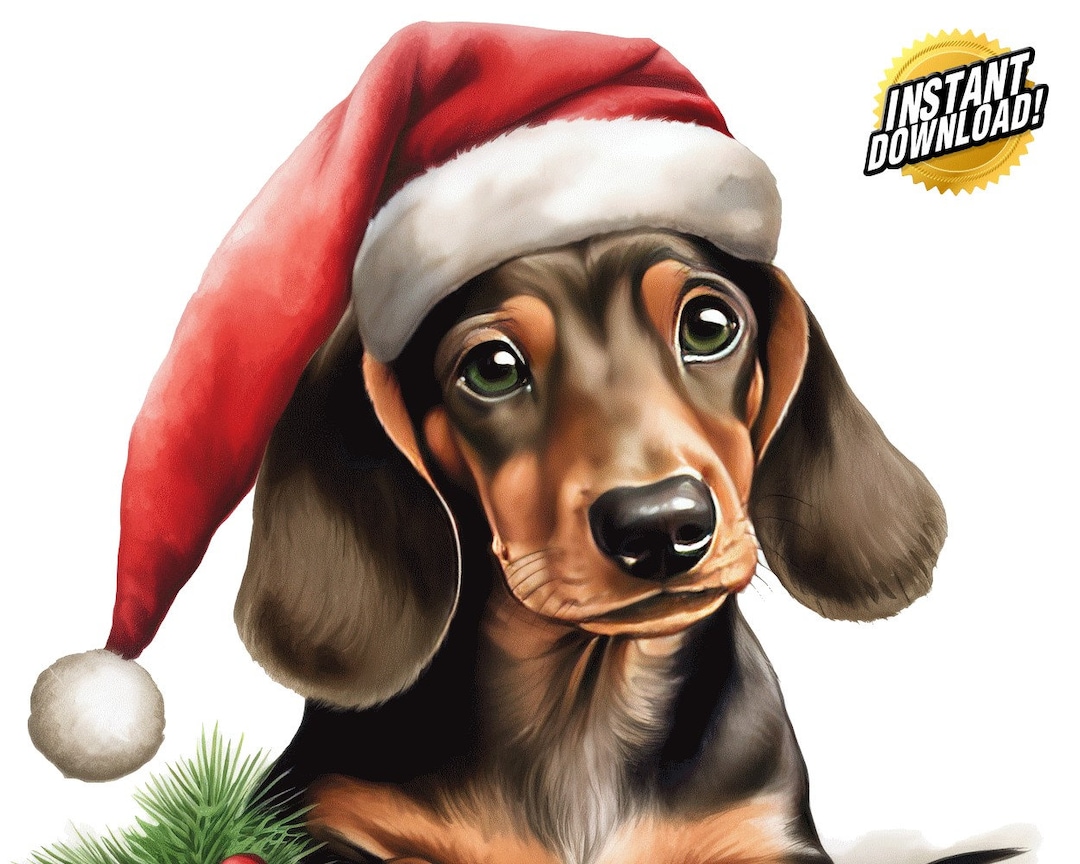 Dachshund Images | Christmas Dogs PNG Bundle. | Instant Digital ...