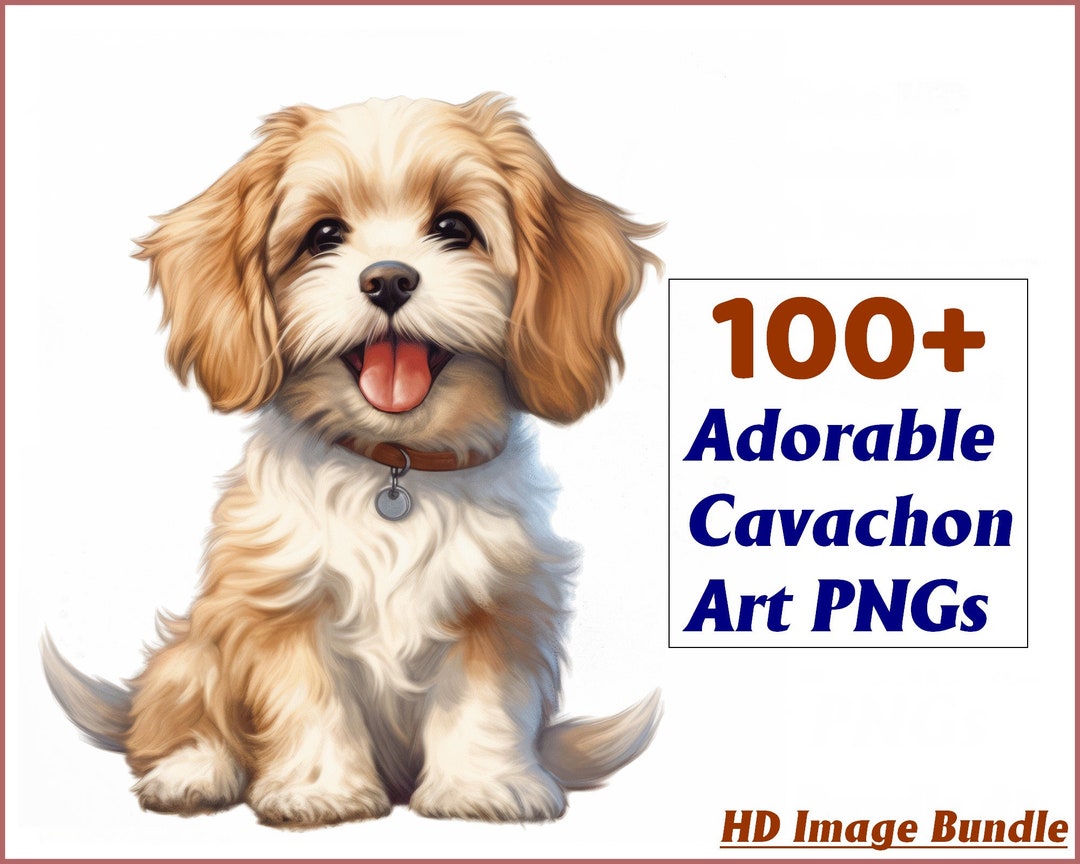 100 Beautiful Cavachon Dog Clip Art Designs in HD PNG Image Bundle ...