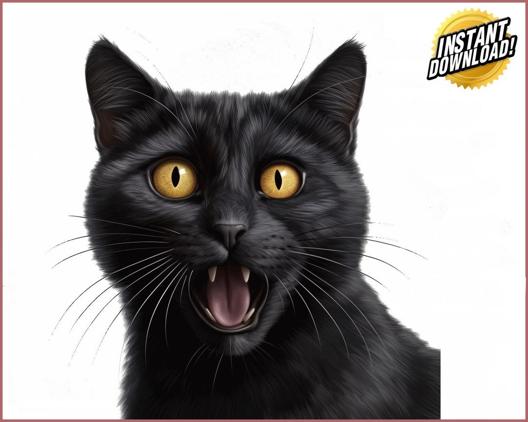 Black Cats Clip Art Designs HD PNG Image Bundle - for T-shirts ...