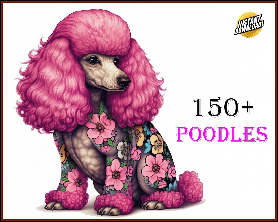 Discover 150 Vibrant Poodle Dog Clip Art Designs in HD PNG Image Bundle ...
