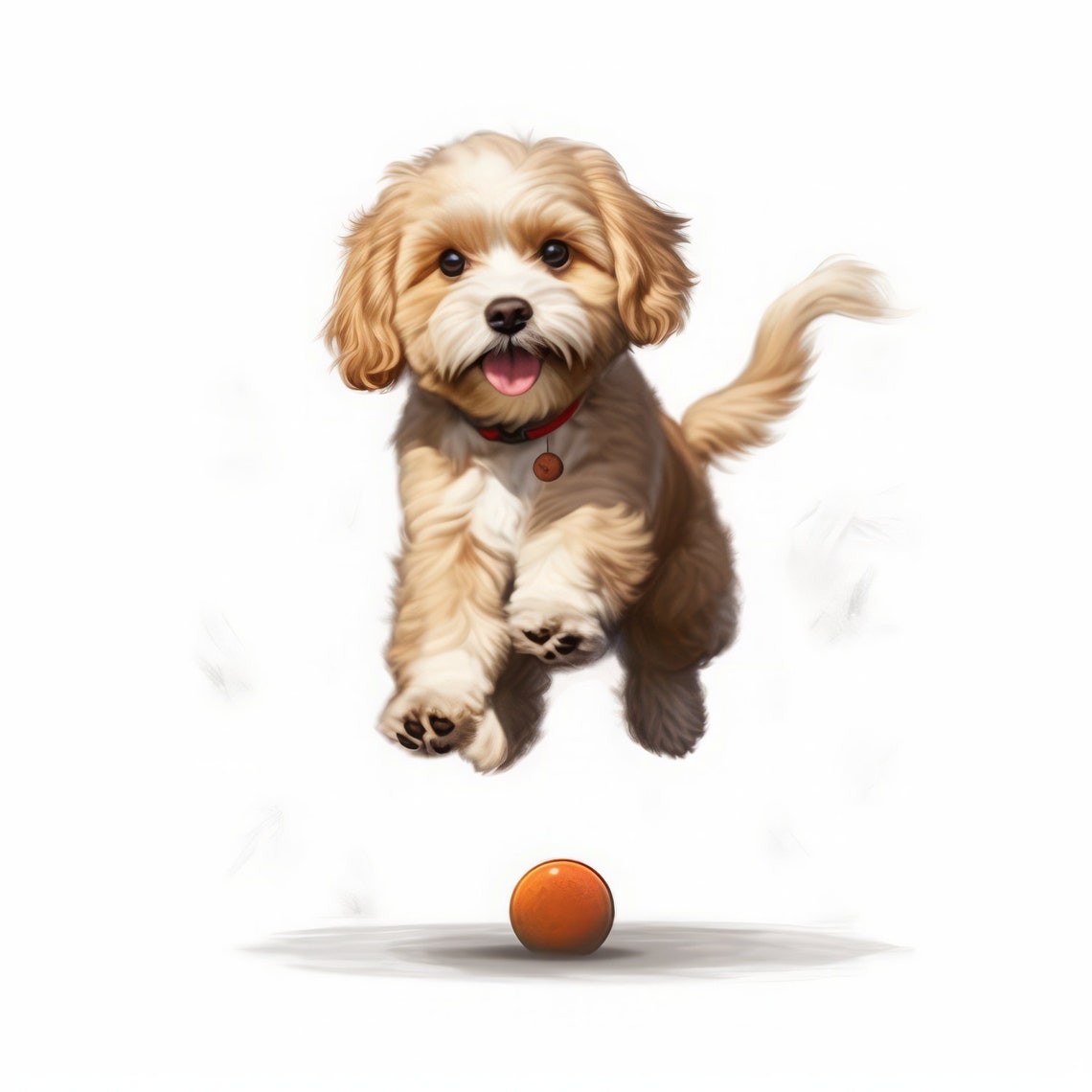 100 Beautiful Cavachon Dog Clip Art Designs in HD PNG Image Bundle ...