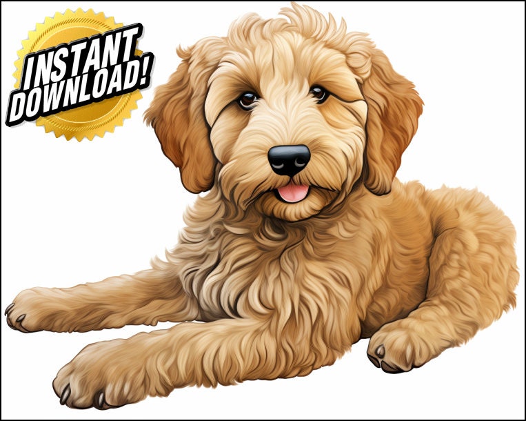 100 Original Cute Colorful Goldendoodle Dogs Clip Art Designs HD PNG ...