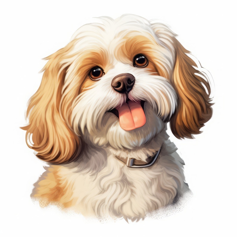 100 Beautiful Cavachon Dog Clip Art Designs in HD PNG Image Bundle ...