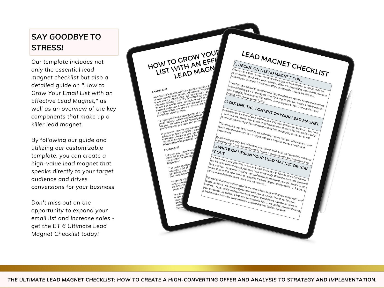 6 Lead Magnet Checklist: How to Create a High-converting Offer Editable ...