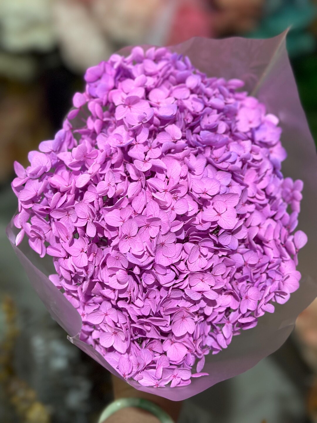 Dried Preserved Hydrangeas Big Bunch Pink, Purple, Mint, Brown, Yellow ...