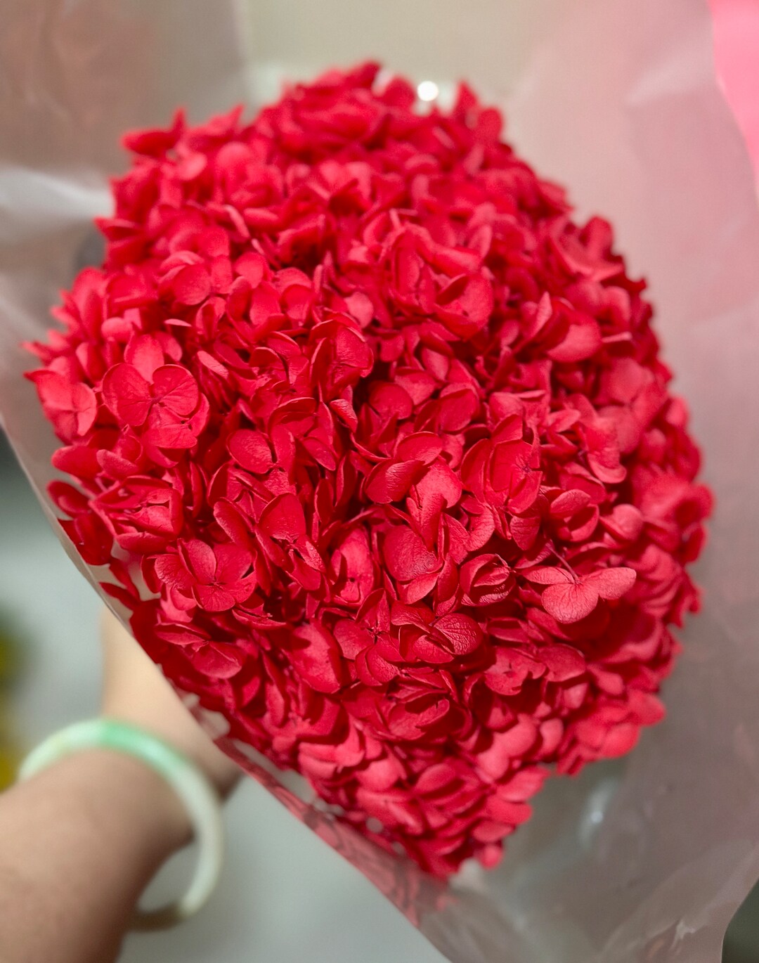 Dried Preserved Hydrangeas Red Colour Big Bunch - Etsy