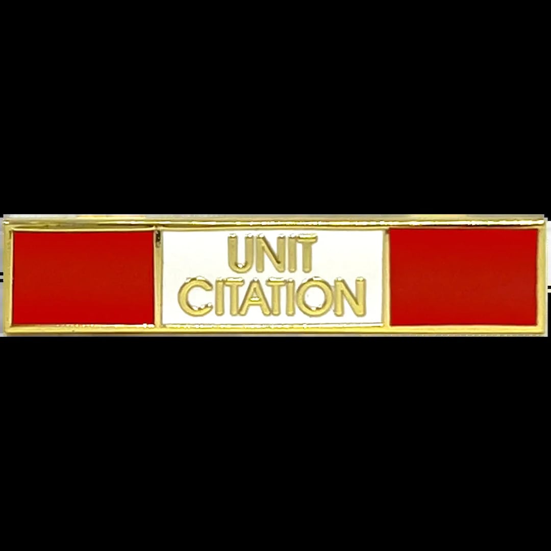 Commissioner's Unit Citation Commendation Bar Pin Reverse Color Scheme ...