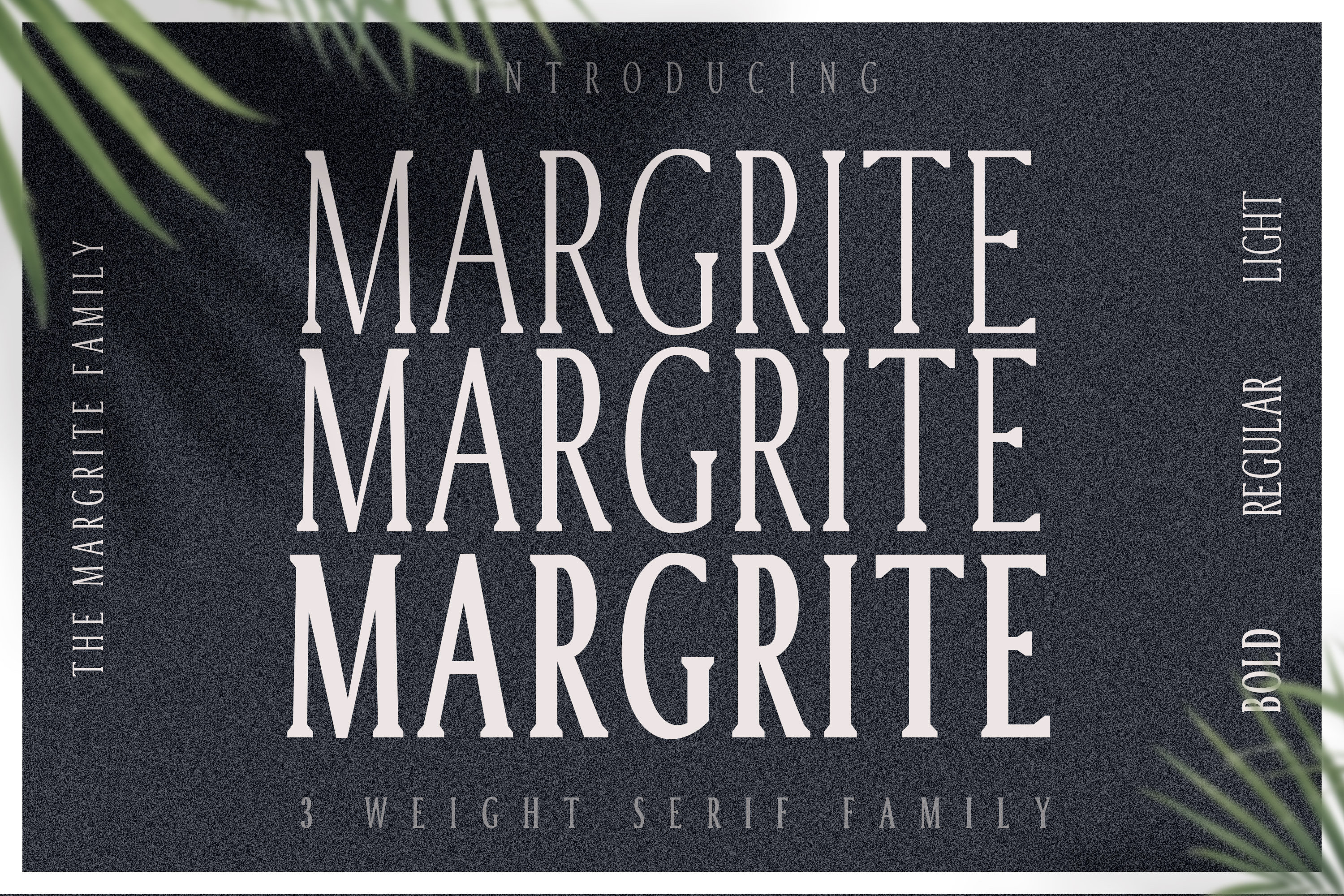 Margrite Tall Serif Font Family Tall Vintage Serif Font 1920s Branding ...