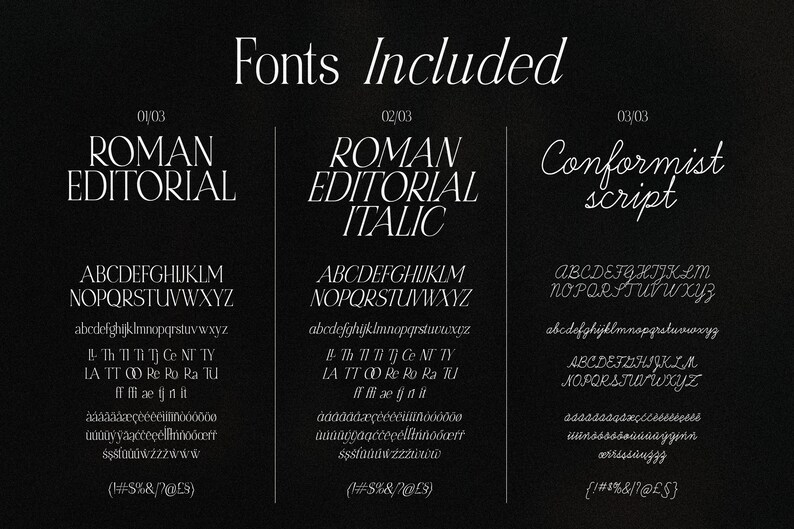 Roman Editorial and Aesthetic Script Font | Modern Font Pair | Modern ...
